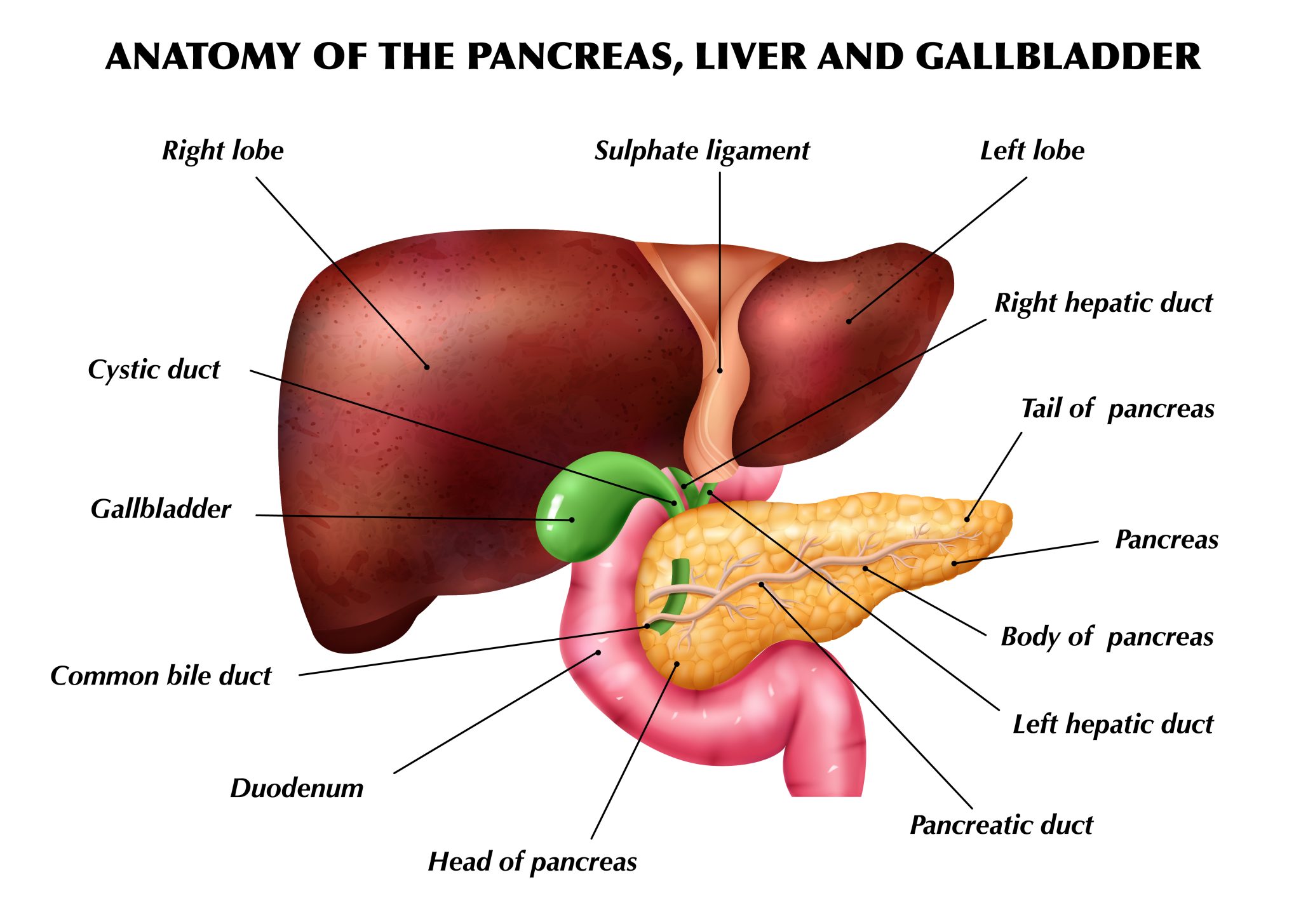 Gallbladder Cancer: A Rare but Serious Disease